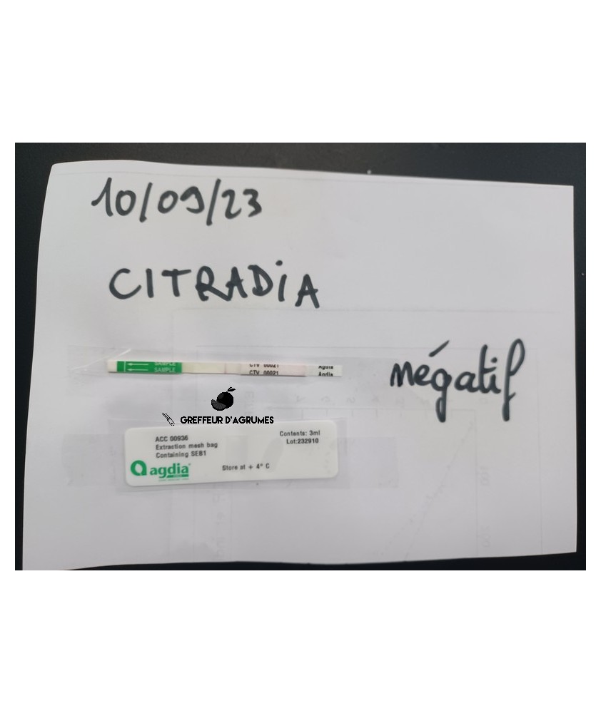 Citradia