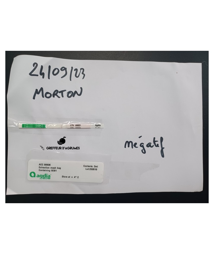 Citrange Morton